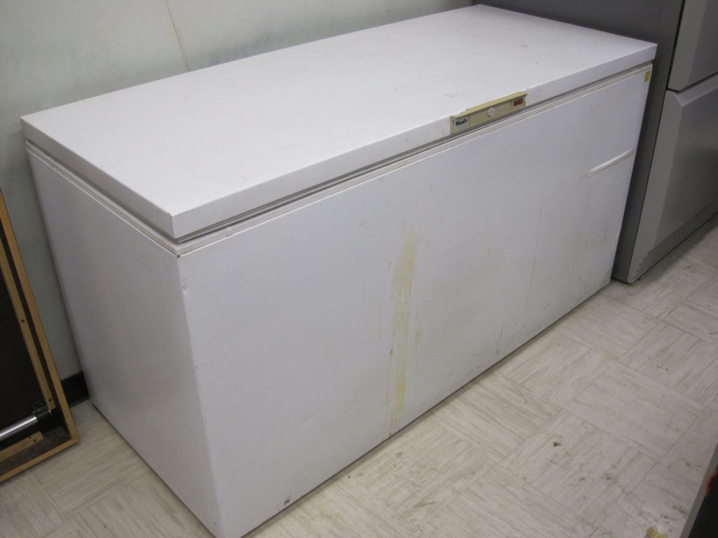 congélateur tombeau – Gestion des biens excédentaires